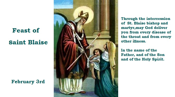 RCDOB - MyDiocese Portal