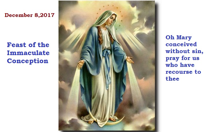 RCDOB - MyDiocese Portal